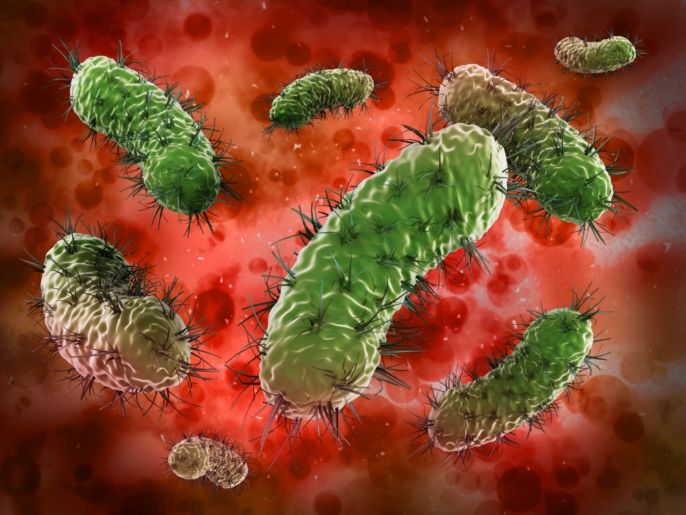 Revista Saúde e Bem Estar - Edição Online